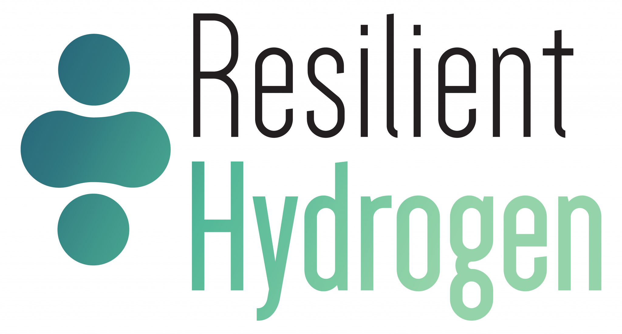 What We Do – Resilient Group